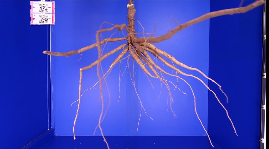 Cropping an Image based on an existing cue in the image - Python - OpenCV