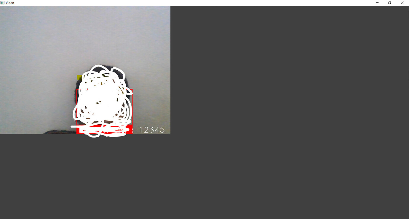 How to maximize frame captured by video_capture.read() - Python - OpenCV