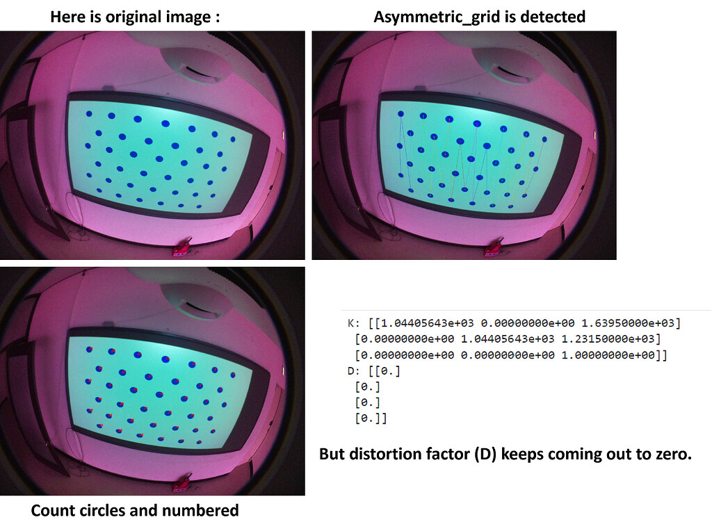 Distort fisheye lens images with asymmetric_grid - Python - OpenCV