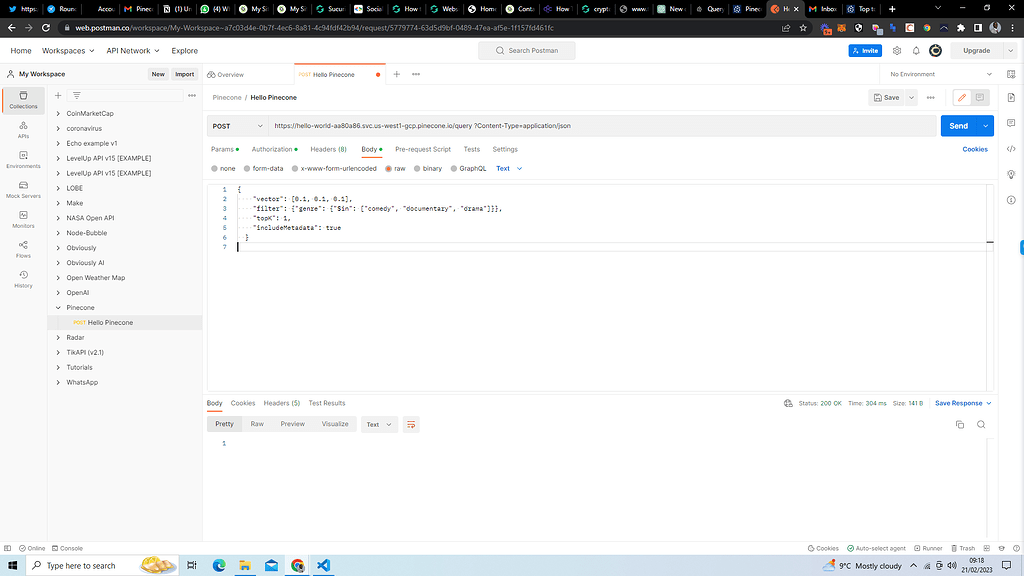 Postman Response Error - Support - Pinecone Community