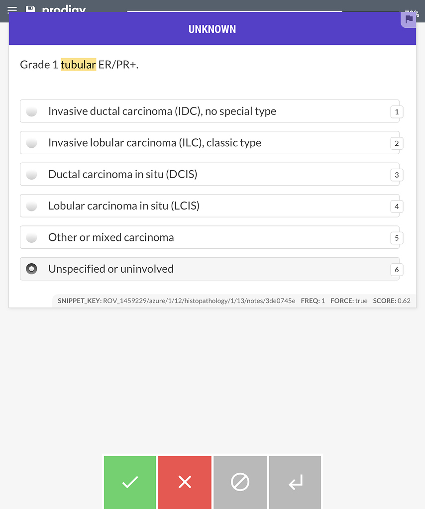 iPad UI issues - front-end - Prodigy Support
