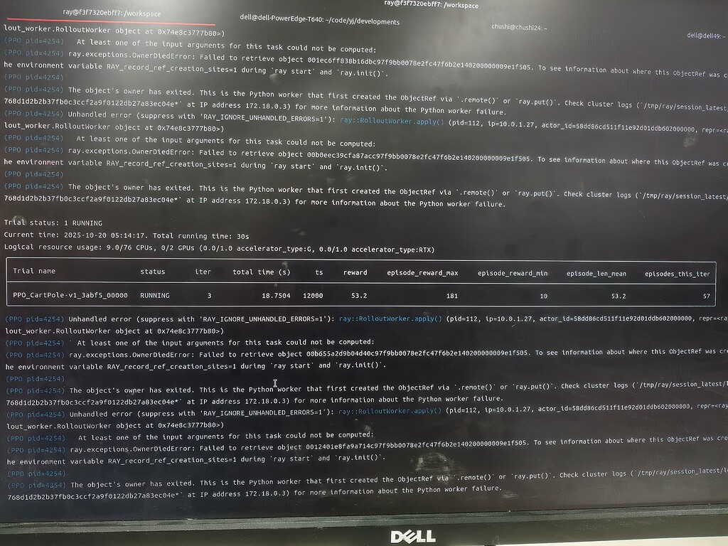 OwnerDiedError with Docker Swarm cluster - Ray Clusters - Ray