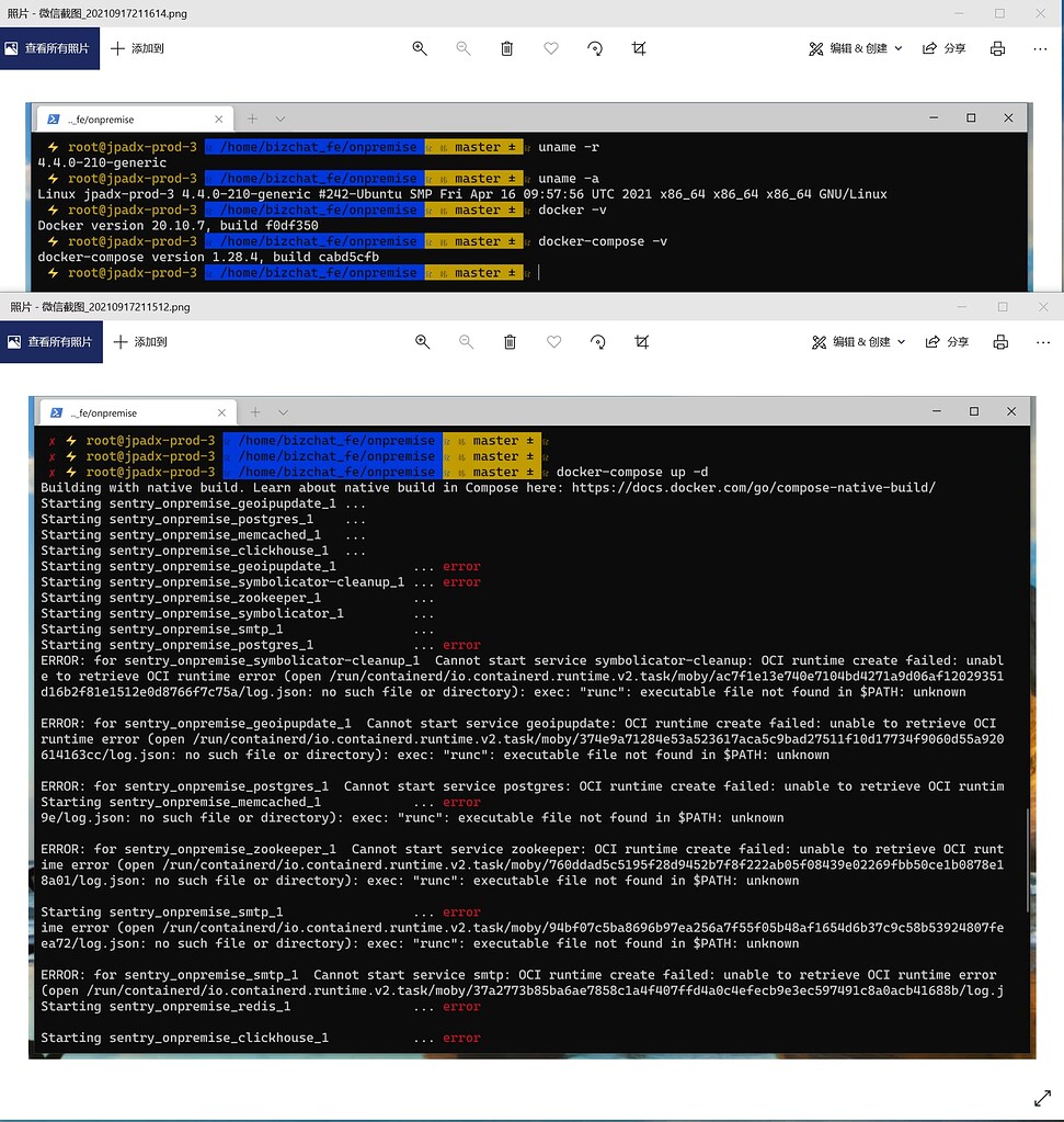Error reported after restarting Sentry - On-Premise - #sentry
