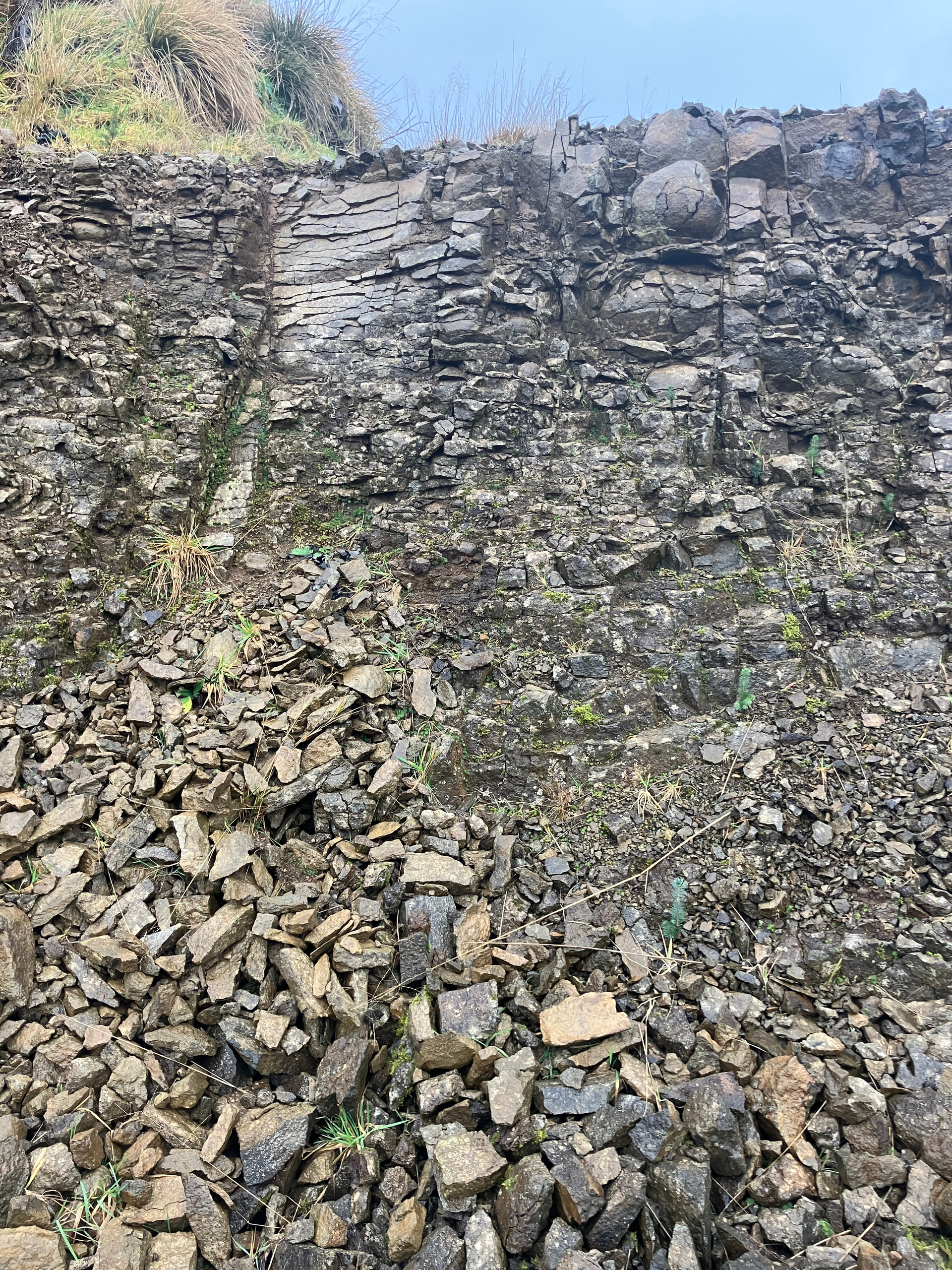 Dynamo script no longer working - can anyone assist? - Civil 3D - Dynamo