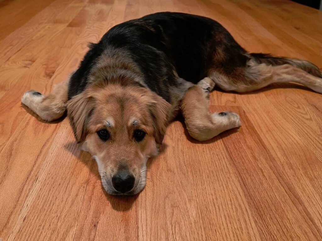 Turn photo into 3D relief? - Carveco - Onefinity CNC Forum