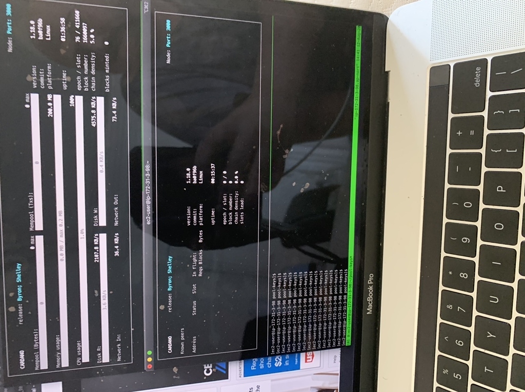 Relay node syncing to core node but when I add other Pool operators nodes to topology it syncs ...