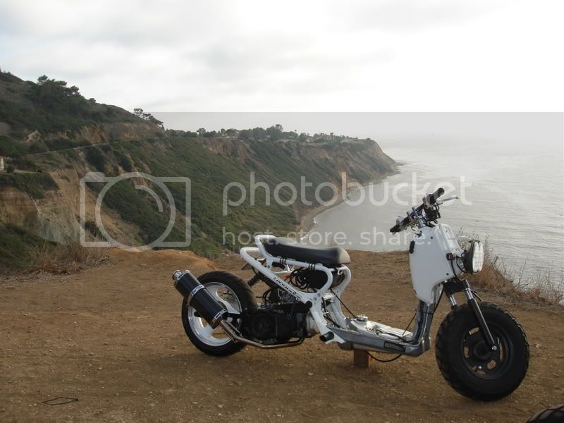 Honda Ruckus - transportation - Core77 Discussion Boards