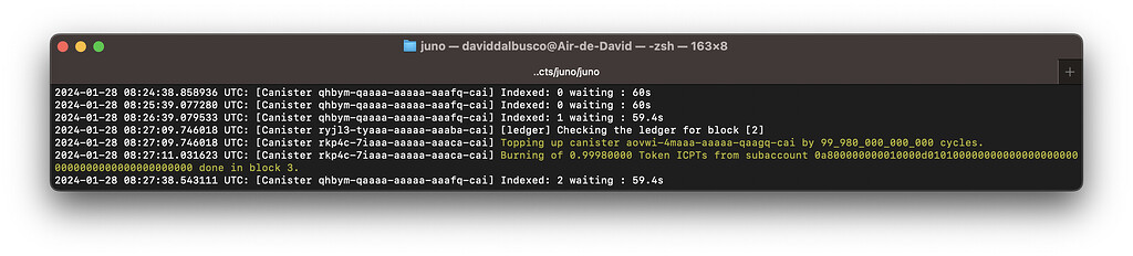 Print debug colors - Rust - Internet Computer Developer Forum