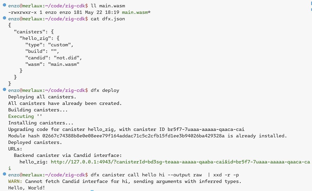 Canister In Zig Cdk Internet Computer Developer Forum