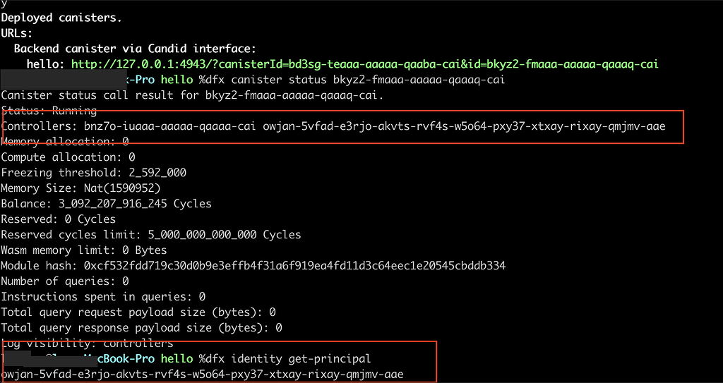 Why there are 2 owner for a canister deployed defaultly? - Developers - Internet Computer ...