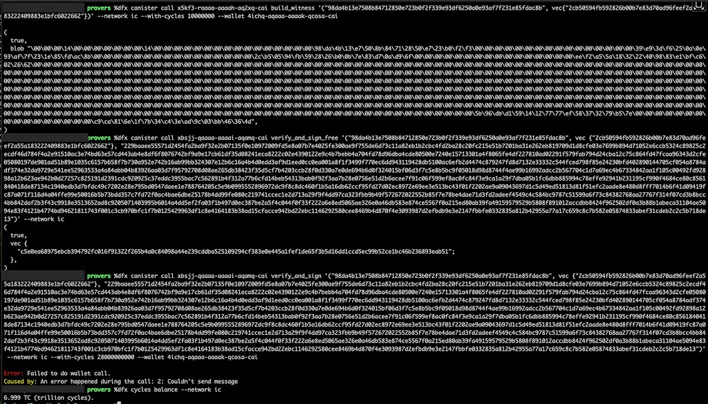 Failed to do wallet call. Caused by: An error happened during the call: 2: Couldn't send message ...