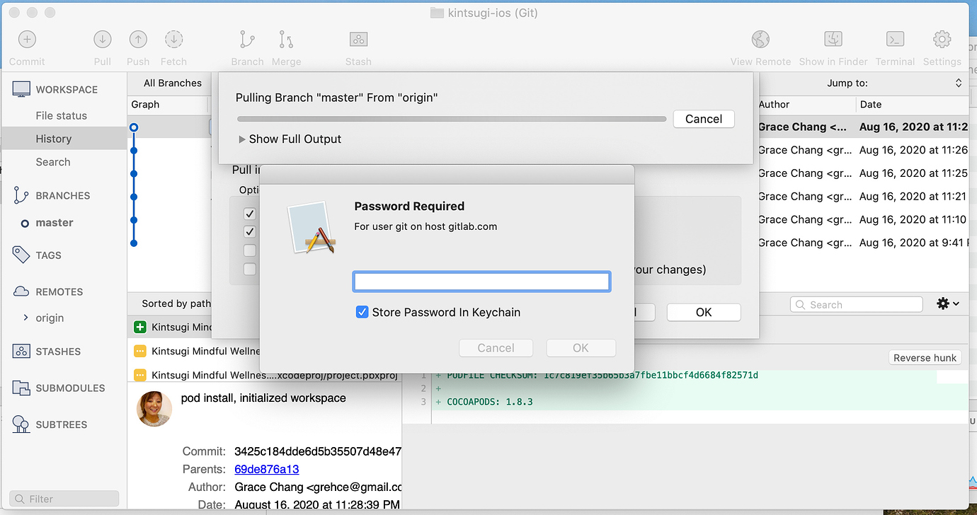 Unable To Authenticate Gitlab In Sourcetree How To Use Gitlab
