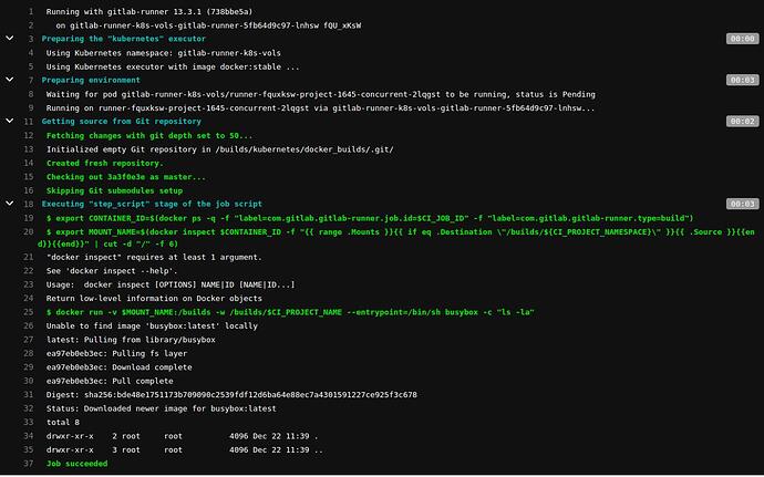 Sharing Volumes Inside Docker Container On Gitlab Runner