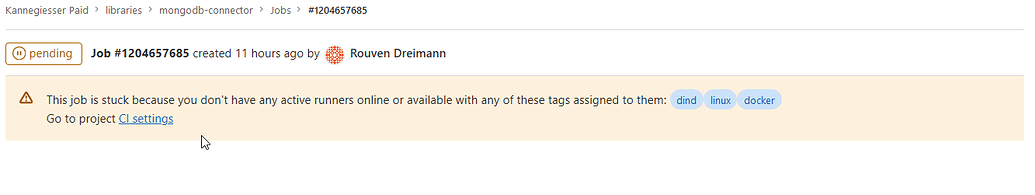 Runner not visible/working - GitLab CI/CD - GitLab Forum