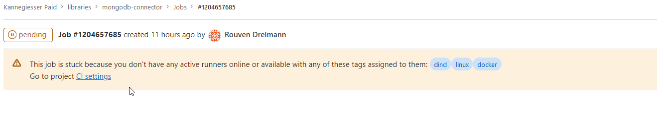 Runner not visible/working - GitLab CI/CD - GitLab Forum
