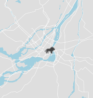 Custom icons in plotly panel - Dashboards - Grafana Labs Community Forums