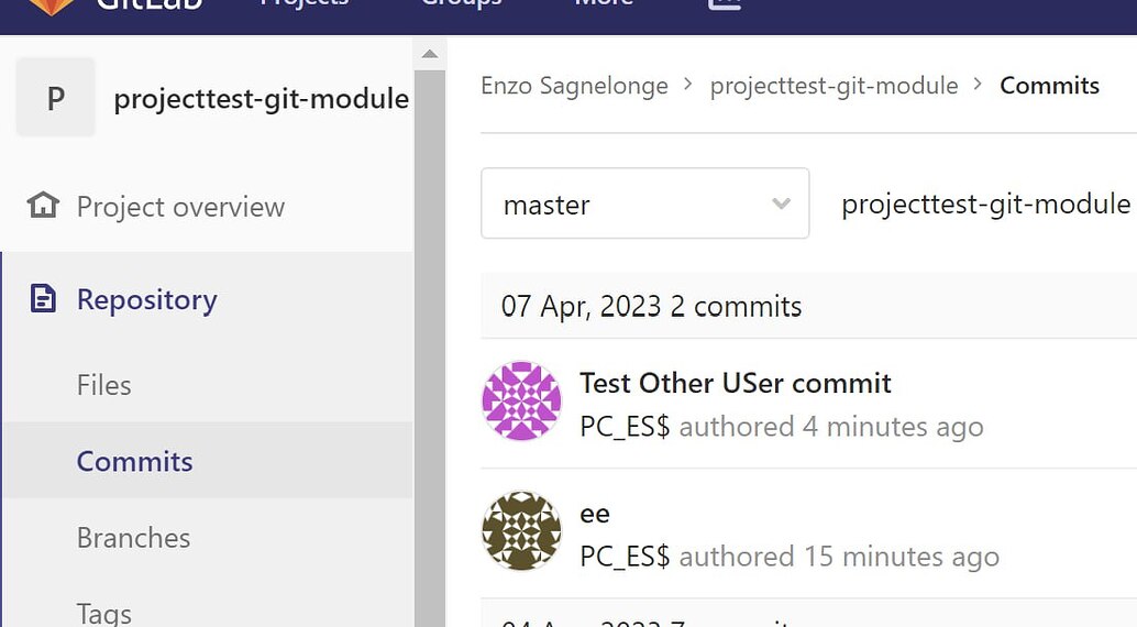 Module Git - Easy integration of git for your development - 3rd Party Modules - Inductive ...