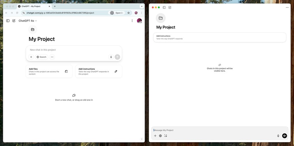 macOS app bug - can't select model type in projects - Bugs - OpenAI Developer Community