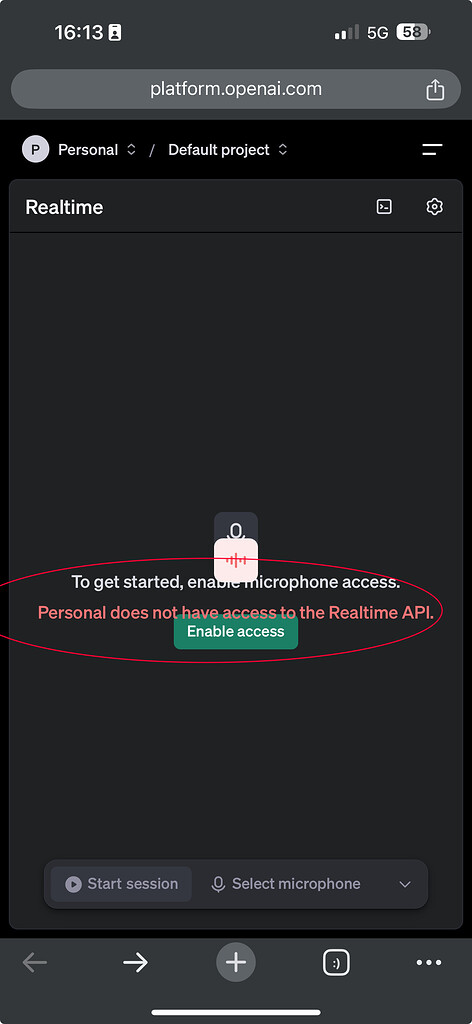 My organization have no access to the realtime api - API - OpenAI Developer Community