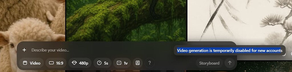 Paid $200 for Pro to Use Sora Video Generation, But Feature is Disabled – Need Urgent ...