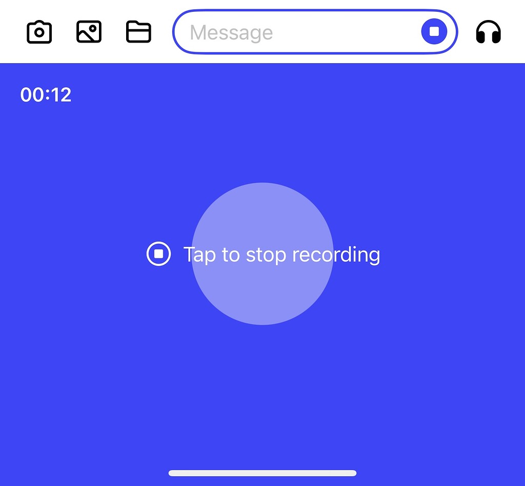 Transcription Failures with Voice Messages on ChatGPT - Bugs - OpenAI Developer Community