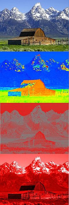HSL photo colorization - API - OpenAI Developer Community