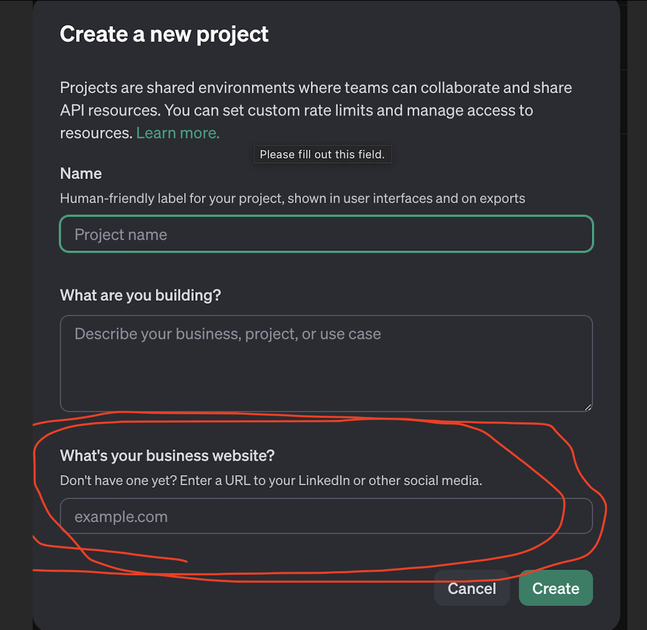 Why Does Creating a New Project now Require a 'Business Website?' - API - OpenAI Developer Community