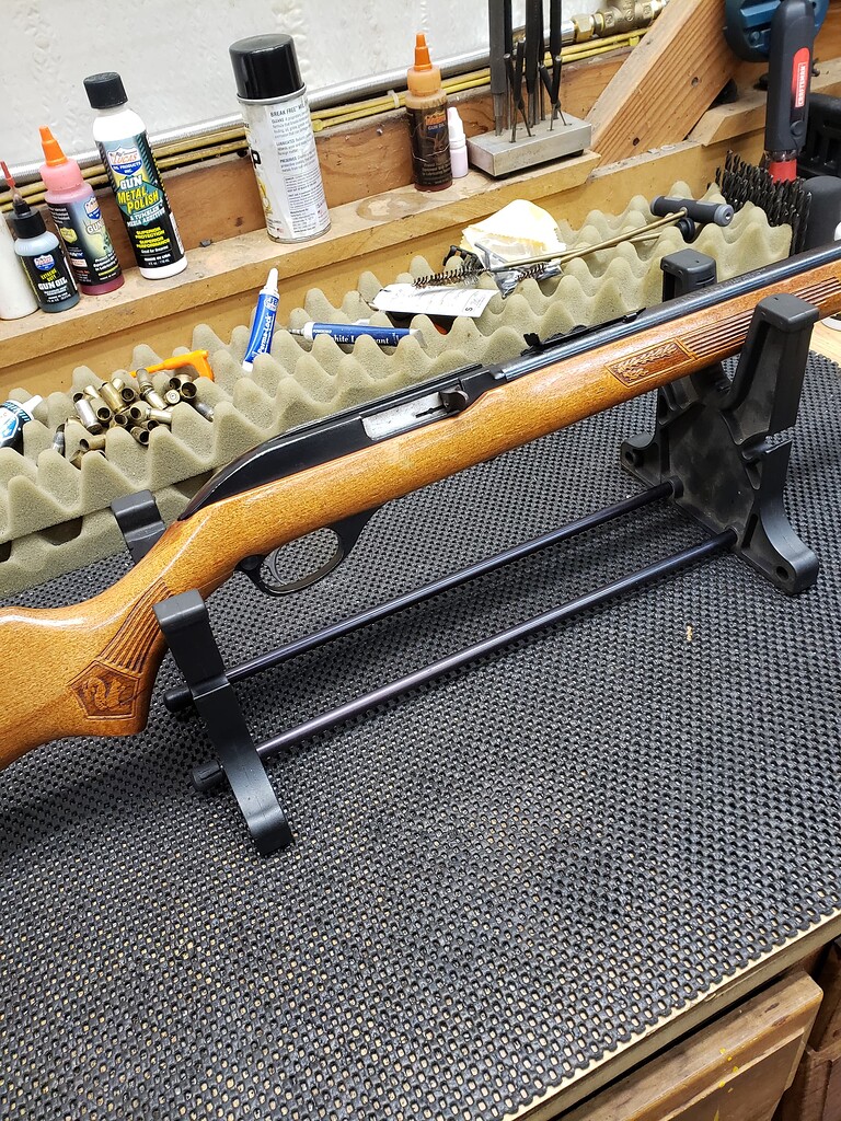 Rough ol Glenfield Mod 60 - Rifles(Non-AR) - Palmetto State Armory | Forum