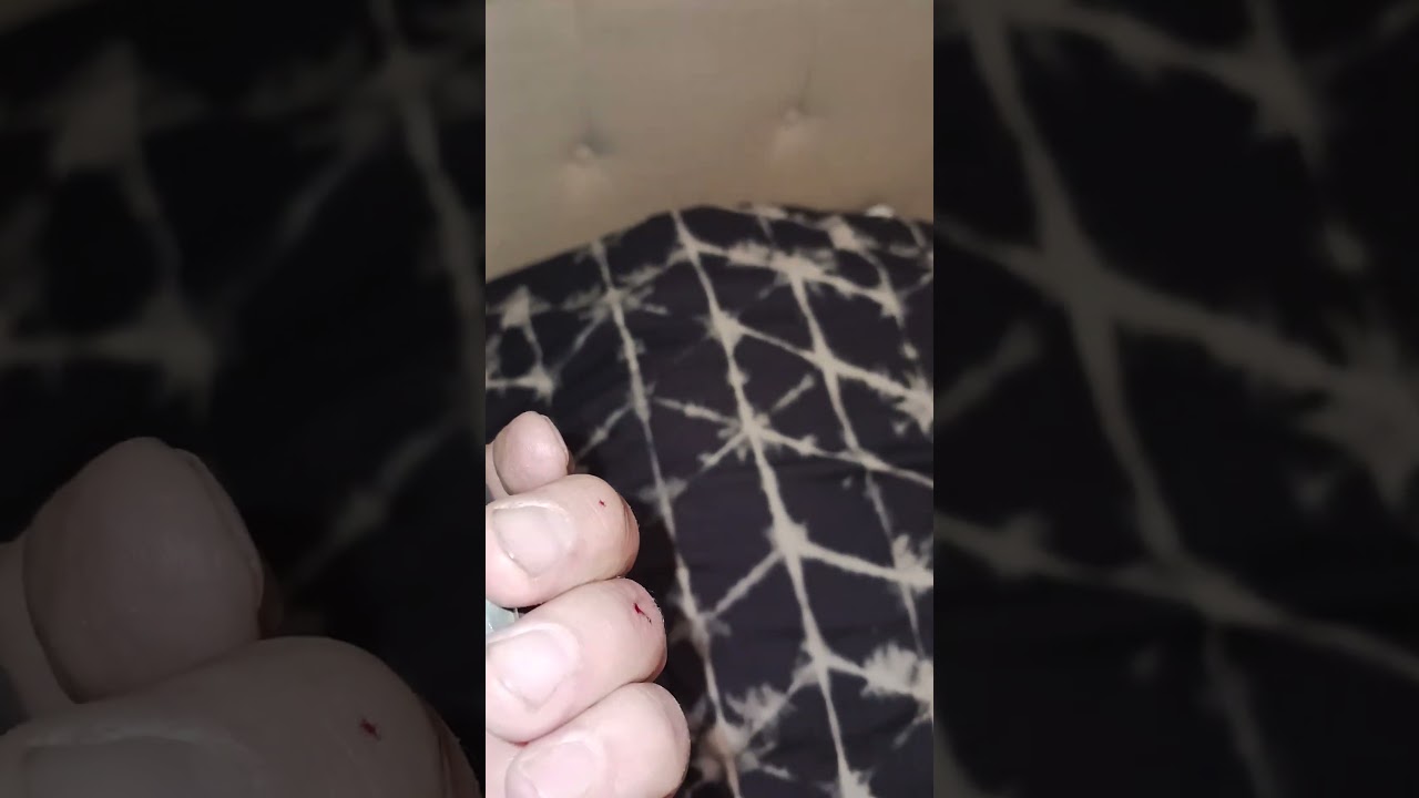 Reloading humor - Reloading - Palmetto State Armory | Forum