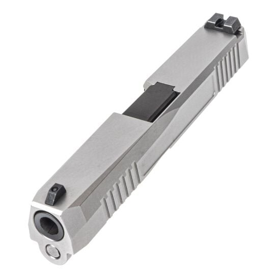 Stainless Dagger Slides - Dagger - Palmetto State Armory | Forum