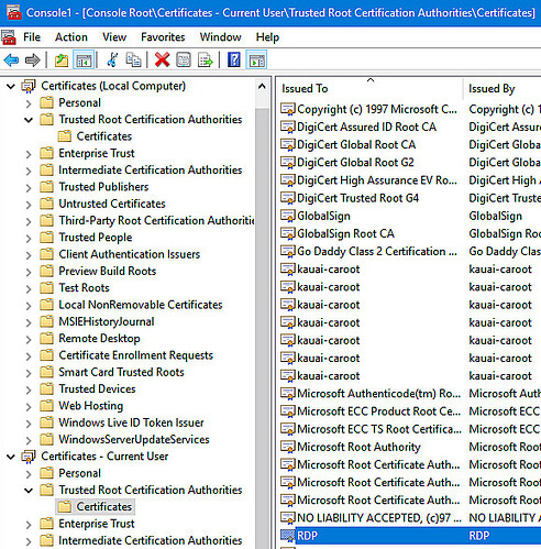 Access RemoteApp & Desktops - There is a problem with this connections security - Software ...