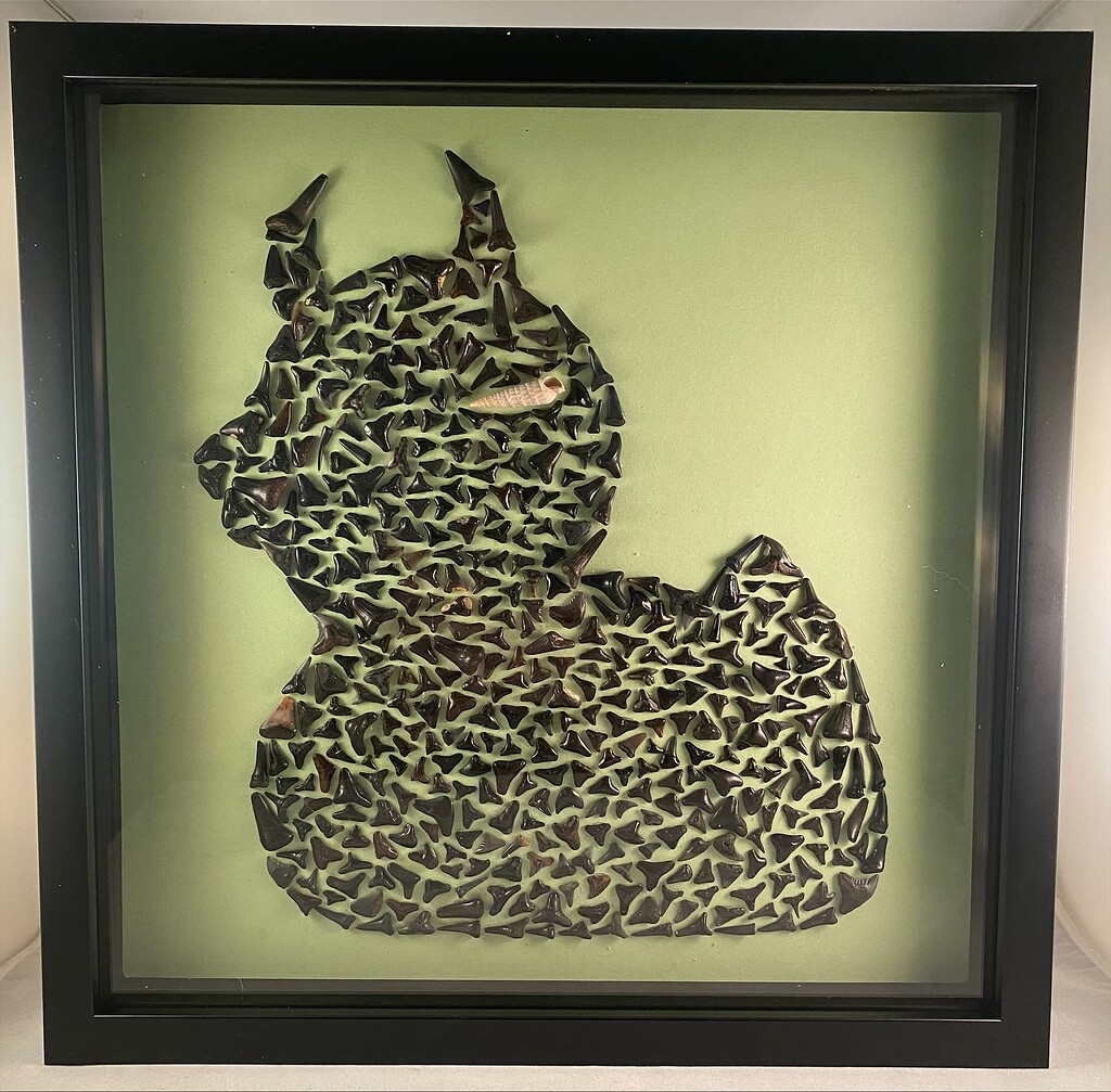 A Devil Duck -- made out of fossilzed shark teeth! - Eaton - Spiceworks ...