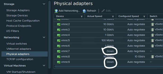 How to link a physical NIC to a VM router in vSphere? - Virtualization ...