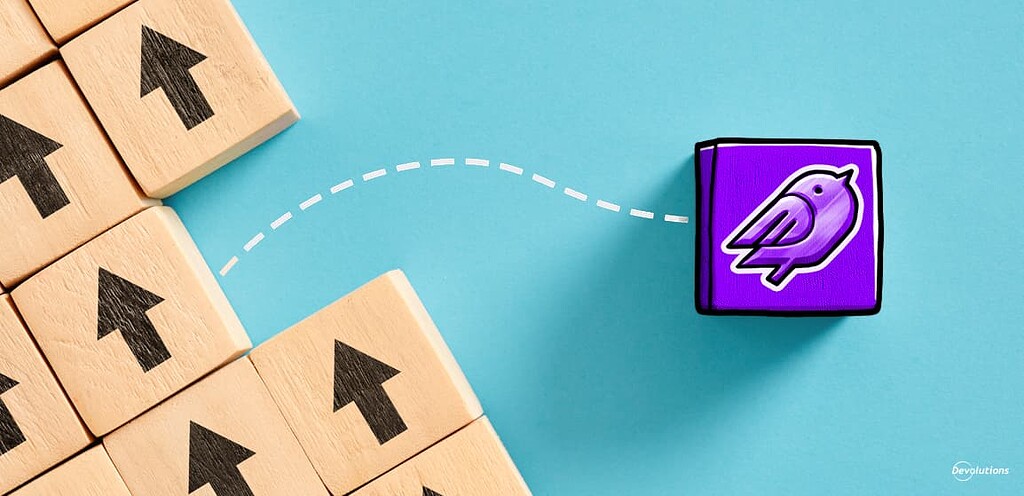 Secure remote connections with Devolutions Gateway Standalone Free - Devolutions - Spiceworks ...