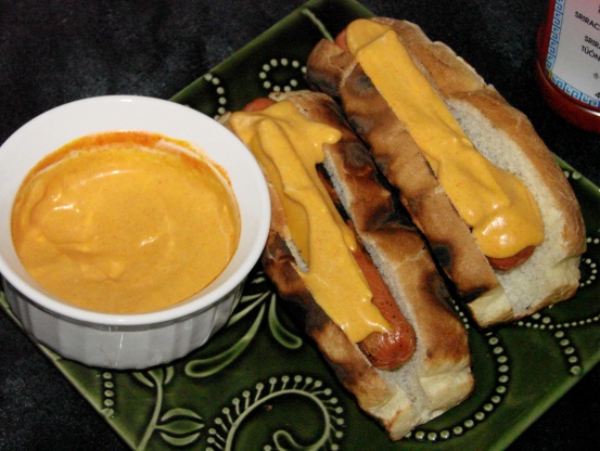 Sriracha Mayo is yummy - Got any other good Condiment Recipes? - Water ...