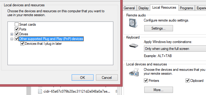 RDP hardware pass-through in hybrid-cloud VBox mounted server - Datto ...