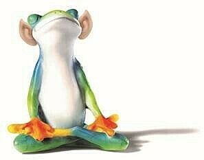 Introducing the Vulcan Zen Frog - Eaton - Spiceworks Community