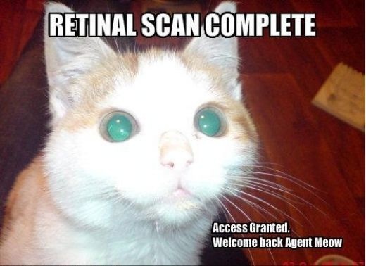 What are biometrics? Definition, examples, and an analogy: Word of the ...