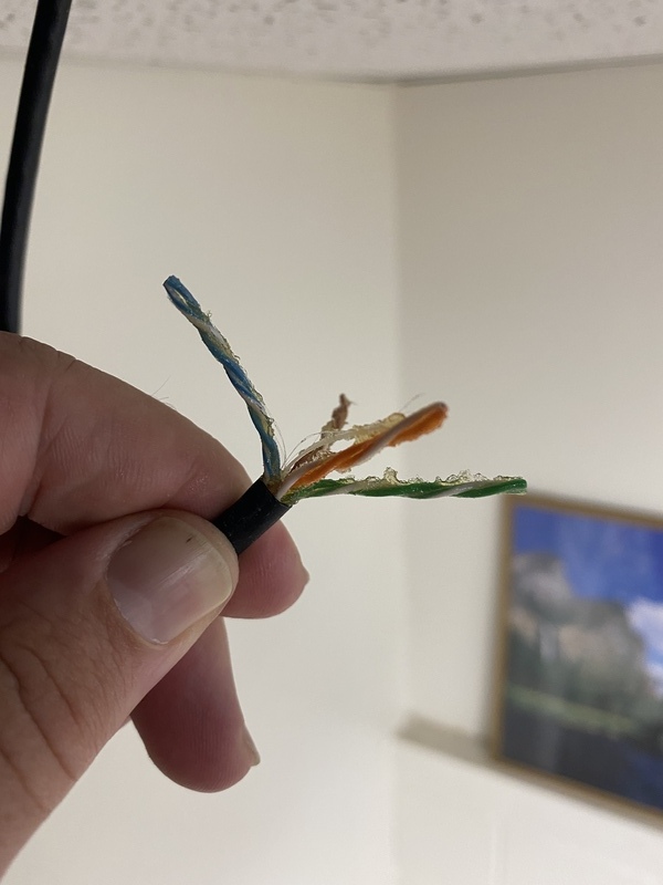 What is this? - Networking - Spiceworks Community