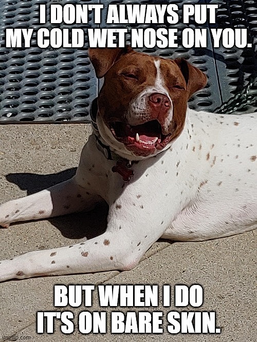 Funny Animal Memes - Water Cooler - Spiceworks Community