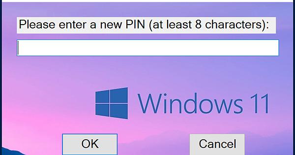 How can I prompt the user to change the default BitLocker PIN? - Programming & Development ...