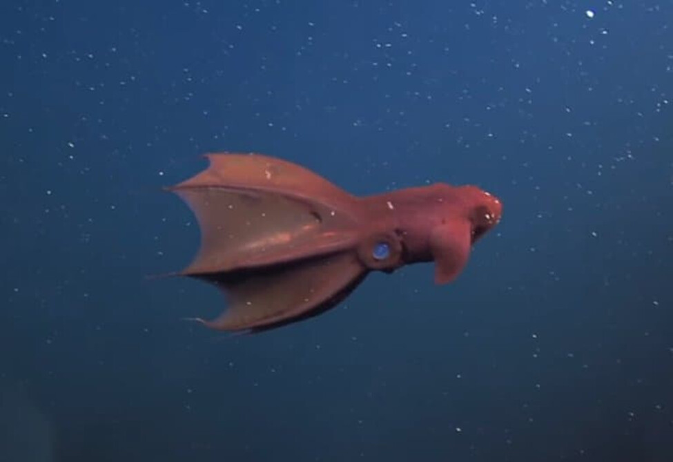 Spark! Pro series - 15th January 2025 - Water Cooler - Spiceworks Community