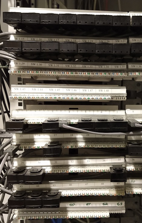 Does anyone know what this type of network cable is called? - Networking - Spiceworks Community