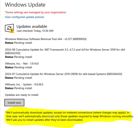 I am not able to disable windows auto update via registry in 2019 ...