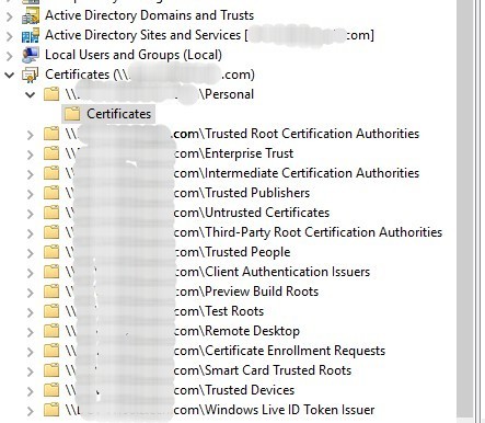 How to create secure browser connection for internal non public domain ...