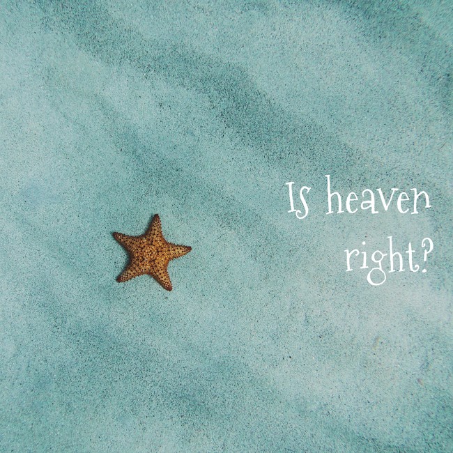 Spark! Pro Series - 25 February 2025 - Water Cooler - Spiceworks Community