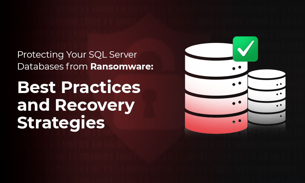 Protecting Your SQL Server Databases from Ransomware: Best Practices and Recovery Strategies ...