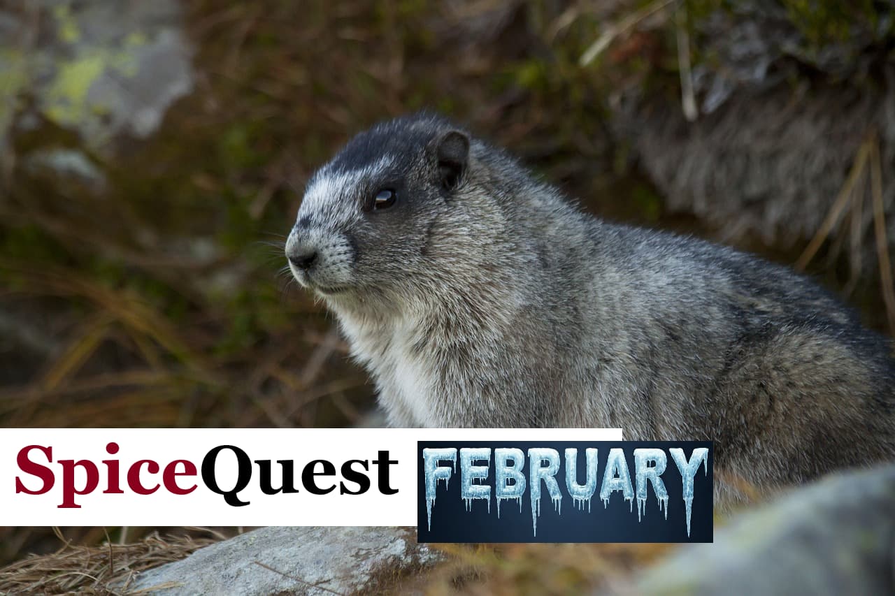 SpiceQuest February (2025) -- Of Pets and Pluto - Spiceworks Originals - Spiceworks Community