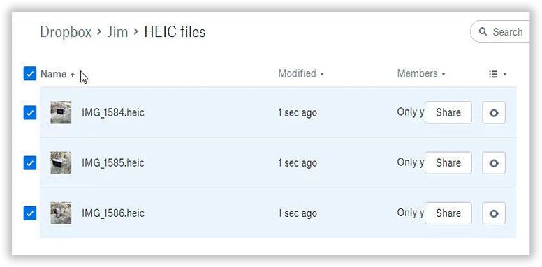 HEIF / HEIC image viewer / converter - Software & Applications ...