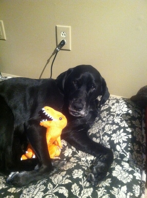 New Look - Data Storage, Backup & Recovery - Spiceworks Community